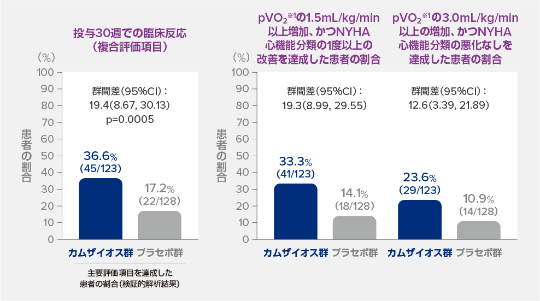 海外第Ⅲ相試験 EXPLORER-HCM試験 | カムザイオス | ブリストル・マイヤーズ スクイブ株式会社