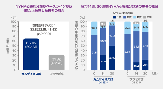 海外第Ⅲ相試験 EXPLORER-HCM試験 | カムザイオス | ブリストル・マイヤーズ スクイブ株式会社