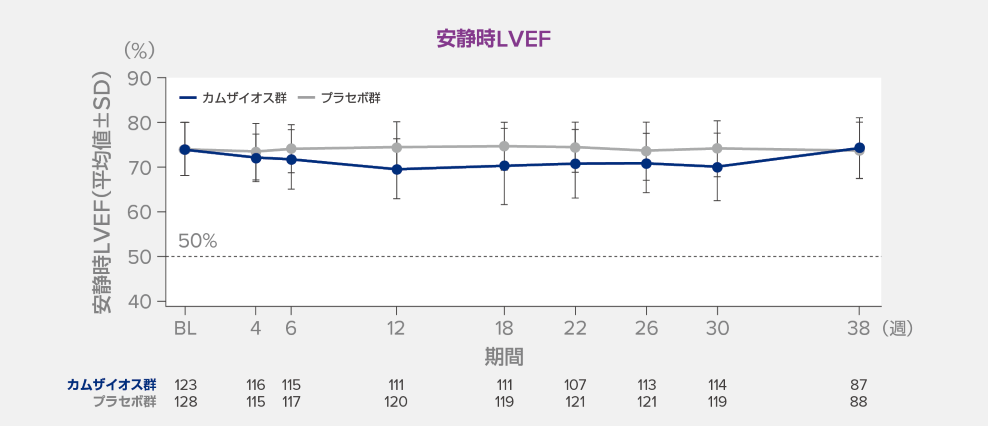 海外第Ⅲ相試験 EXPLORER-HCM試験 | カムザイオス | ブリストル・マイヤーズ スクイブ株式会社